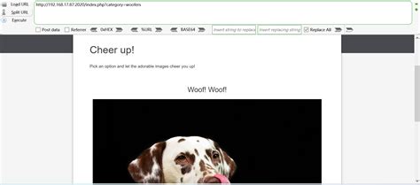 Php Filter协议php伪协议filter Csdn博客