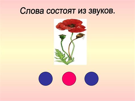 Твердый знак, мягкий знак и буква Ы. (Занятие 3) - online presentation