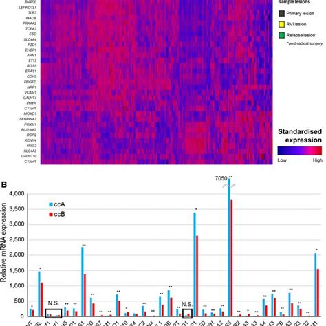a heatmap displaying hierarchical clustering analysis of the download scientific diagram