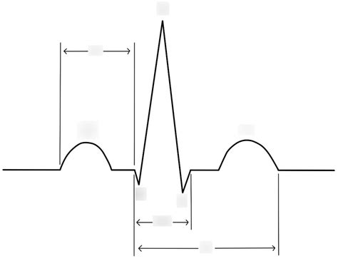 Phys 7 Diagram Quizlet