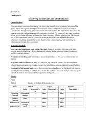 BioLabReport Docx Bio Lab Lab Report Identifying Biomolecules