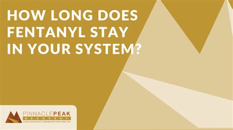 How Long Does Fentanyl Stay In Your System Pinnacle Peak Recovery