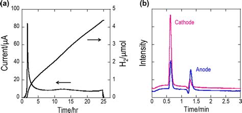 A Time Dependent Current Curve Observed For The Improved Large Sized Download Scientific