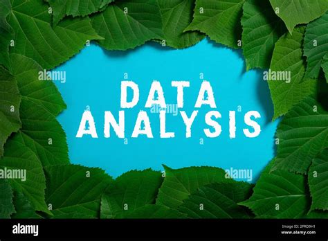 Text Caption Presenting Data Analysis Business Overview Translate