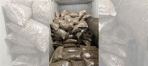 Грецкий орех в скорлупе купить в Москве Товары для дома и дачи Авито