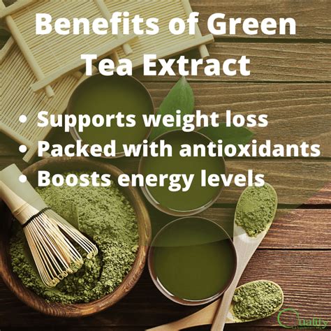 Benefits Of Green Tea Extract Qsm Quality Supplement Mfg