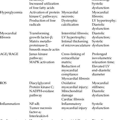Summary Of Metabolic Processes Involved In The Pathophysiology Of Dcm