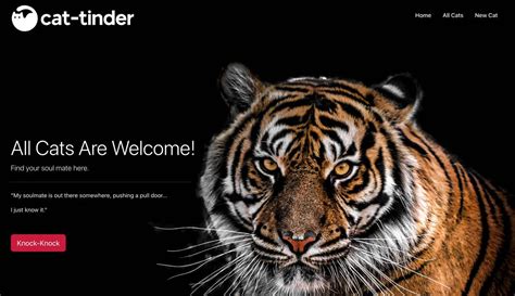 Olena Zheliabina On Linkedin Frontend React Developer Programming