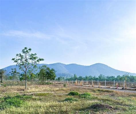 ขายที่ดินทำเลทอง โพธาราม ราชบุรี ที่ดินร้อยแปด คอม