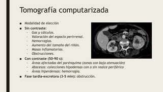 Pielonefritis En Imagenologia Clinicapptx