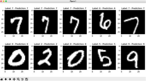 手把手教你使用 pytorch 搭建神经网络 pytorch神经网络 csdn博客
