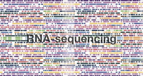 RNA Sequencing Principle Steps Methods And Applications