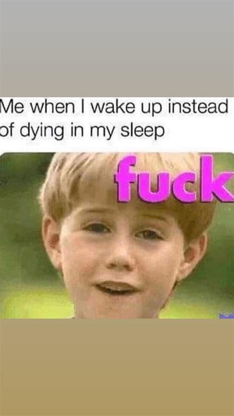 Meirl Rmeirl