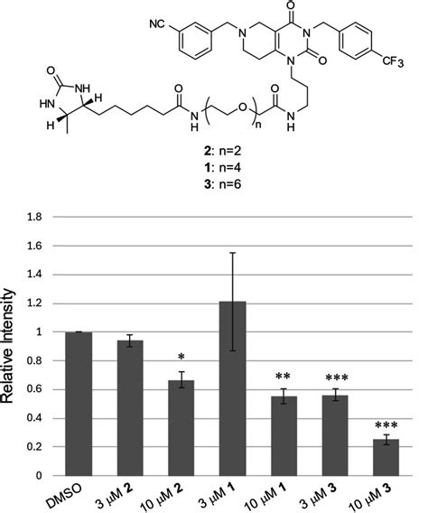 Targeted Protein Degradation In The Mitochondrial Matrix And Its