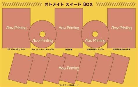 【通販代購】animate限定 純日版 Ns遊戲 共生邱比特 キューピット・パラサイト Fan Disc 露天市集 全台最大的網路購物市集