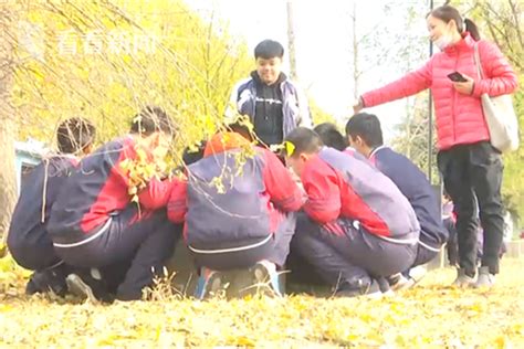 男男车车好快的车车有点污网站 白玉昆著 男男车车好快的车车有点污网站无弹窗免费全文阅读 奇魔玄幻 中国食品网