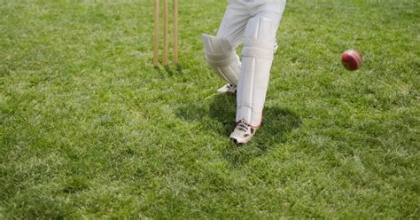 크리켓 경기를 하는 한 무리의 남자들 사진 Unsplash의 크리켓 공 이미지