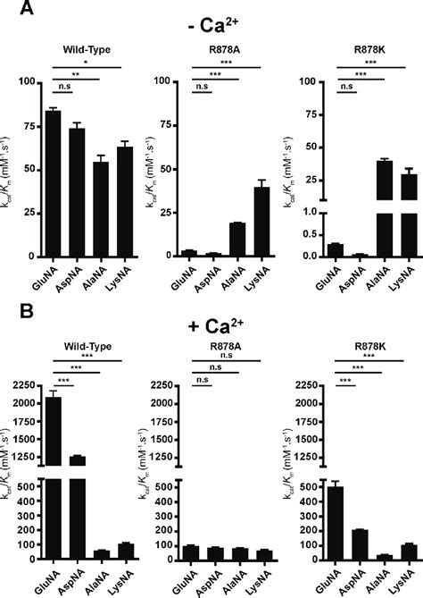 Hydrolysis Of Various Substrates Gluna Aspna Alana And Lysna By Download Scientific Diagram