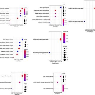 Target Genes Of Differentially Expressed TRFs The Orange Color