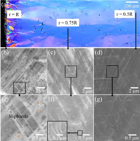 A Cross Sectional Ebsd Ipf Map Of The Pt90 Mea From The Surface To