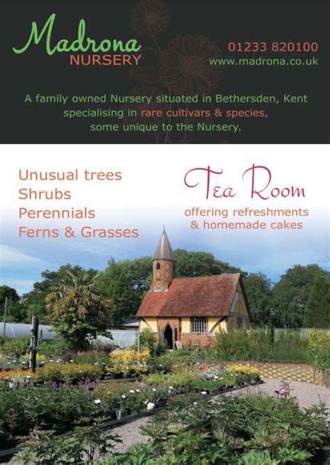 Create A Double Sided Leaflet By Majkawaugh Fiverr