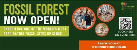 One Of My Favourites Can You Get More Wildflower And Whimsical Firth Flock Flowers Facebook