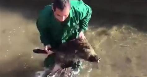 1201€ De Multa Contra El Hombre Que Maltrató Brutalmente Un