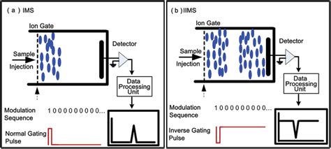 Schematic Diagram Of Conventional Ims And Inverse Ims Iims A