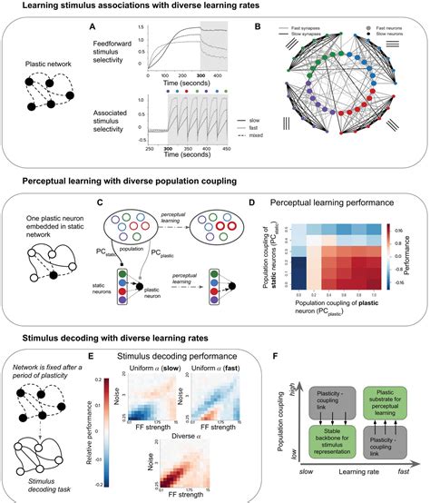 Figures And Data In Population Coupling Predicts The Plasticity Of Stimulus Responses In