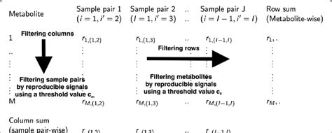 Schematic Filtering Approach Of Reproducible Signal Matrix Schematic Download Scientific