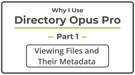 Why I Use Directory Opus Pro Part 1 Viewing Files And Their Metadata