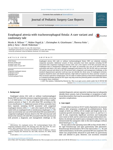 Pdf Esophageal Atresia With Tracheoesophageal Fistula A Rare Variant