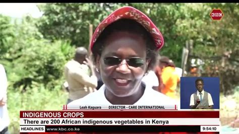 abdi hussein on linkedin agronomists say indigenous crops are nutritious