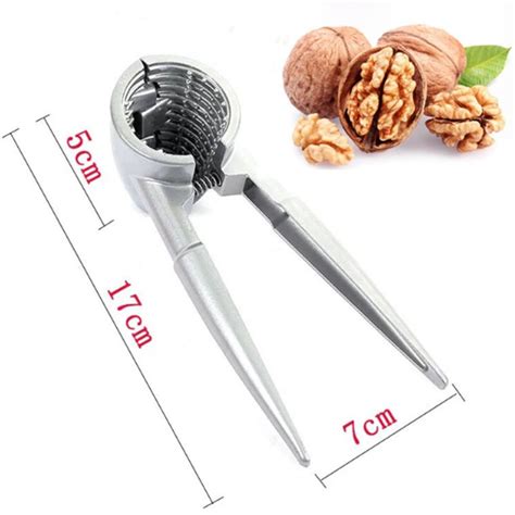 Crack Almond Walnut Hazel Filbert Nut Kitchen Nutc Grandado
