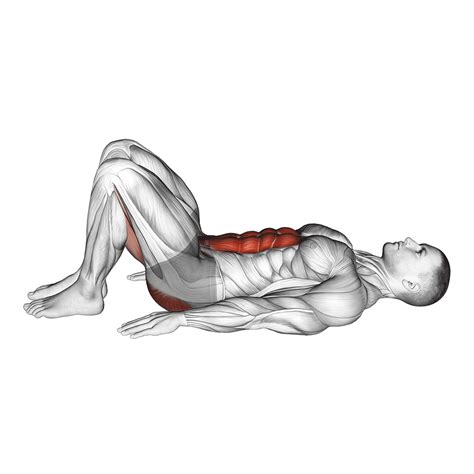 Anterior Pelvic Tilt 3 Stretches And 3 Exercises To Remedy Inspire US