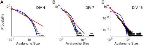 Figure 3 From Development Of Neural Population Activity Toward Self Organized Criticality