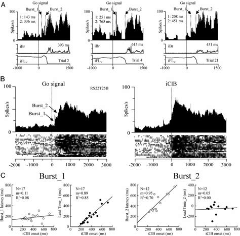 A 3 Individual Trials Taken From An Example Of A Neuron That Exhibited Download Scientific
