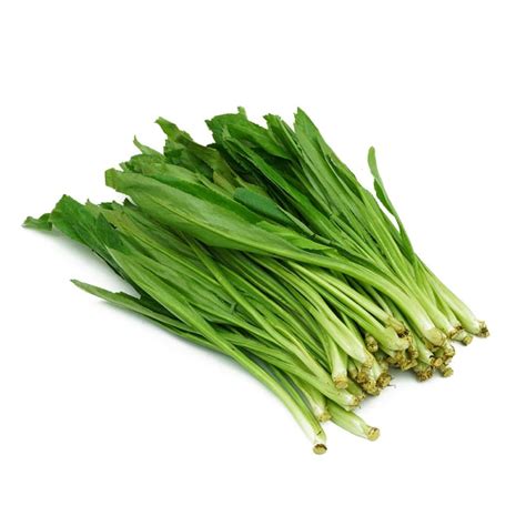 ผักชีใบเลื่อย คัดสวย ตัดราก Freshket สั่งวัตถุดิบออนไลน์