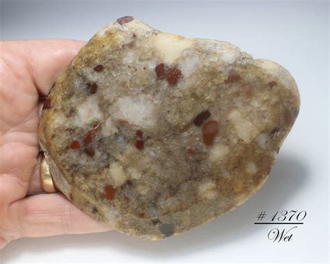Large Red Jasper Puddingstone Meta Conglomerate Hand Specimen Slice