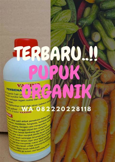 Cara Membuat Pupuk Kcl Dari Garam