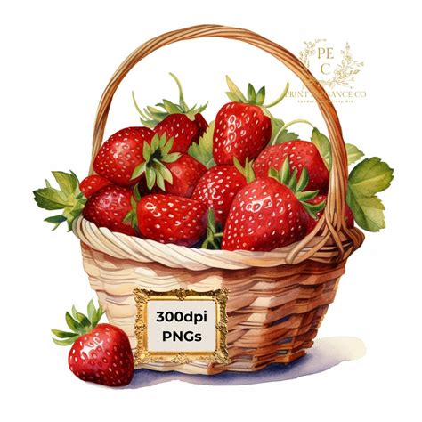 Strawberry Basket Clipart Bundle 10 High Quality Watercolor S Food