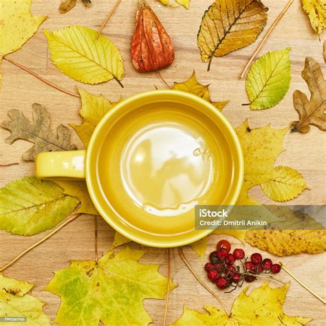 나무 배경에 마른 잎 화환 프레임과 빈 머그잔가있는 가을 평면 평신도 구성 0명에 대한 스톡 사진 및 기타 이미지 0명 10월 11월 Istock