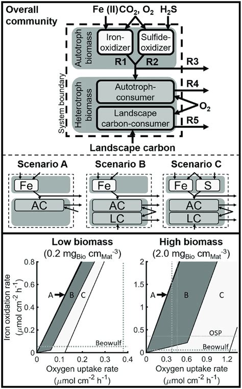 Sensitivity Analysis Of System Behavior As A Function Of Geochemical Download Scientific