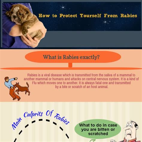How To Protect Yourself From Rabies Curecrowd Pdf