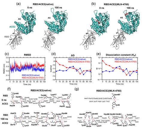 The Molecular Dynamics Simulation Results Of The Interaction Between Download Scientific