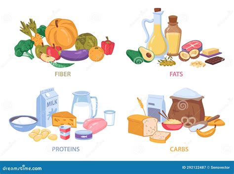蛋白质和碳水化合物饮食食品 纤维和脂肪 向量例证 插画 包括有 新陈代谢 谷物 消化 巴西 纤维 292122487