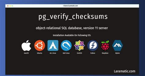 Pg Verify Checksums Command Laramatic