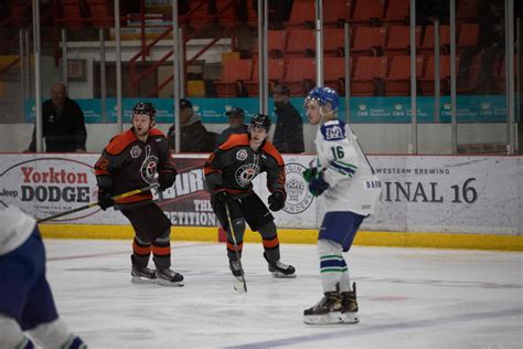 Yorkton Terriers