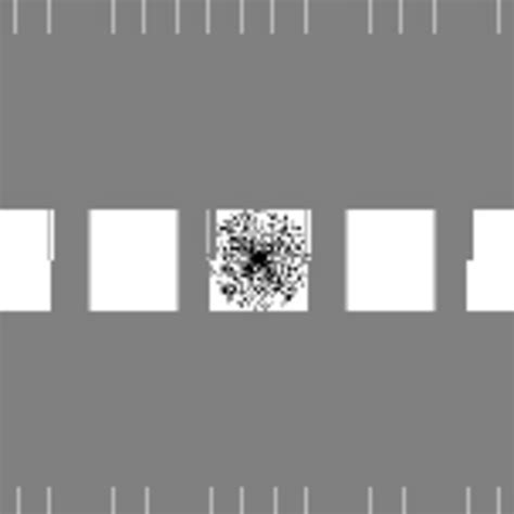 Coverage Of Space By A Set Of Detectors Generated By Ns Algorithm Using
