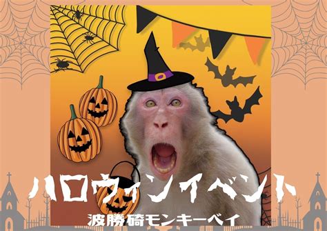 「夜の静寂（しじま）とパンダとのひととき」－営業終了後に五感で味わうパンダとの没入体験－2024年11月2日（土）からスタート！ トラベルスポット